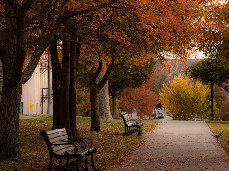 Exclusive Baltimore Hotel Deals | Inn at Henderson's Wharf